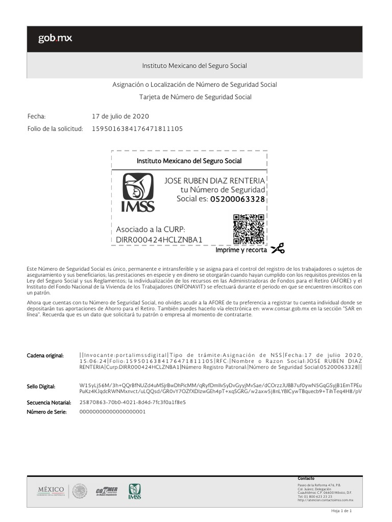 Tarjeta de NSS | PDF