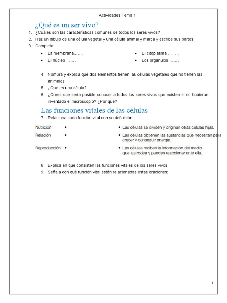 Actividades Tema 1 | PDF | Plantas | Algas