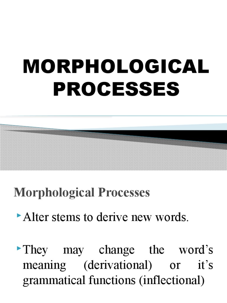 Morphological Processes | PDF | Morphology (Linguistics) | Syntax