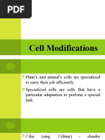 Specialised Animal Cells - Living Organisms - KS3 Biology - BBC ...