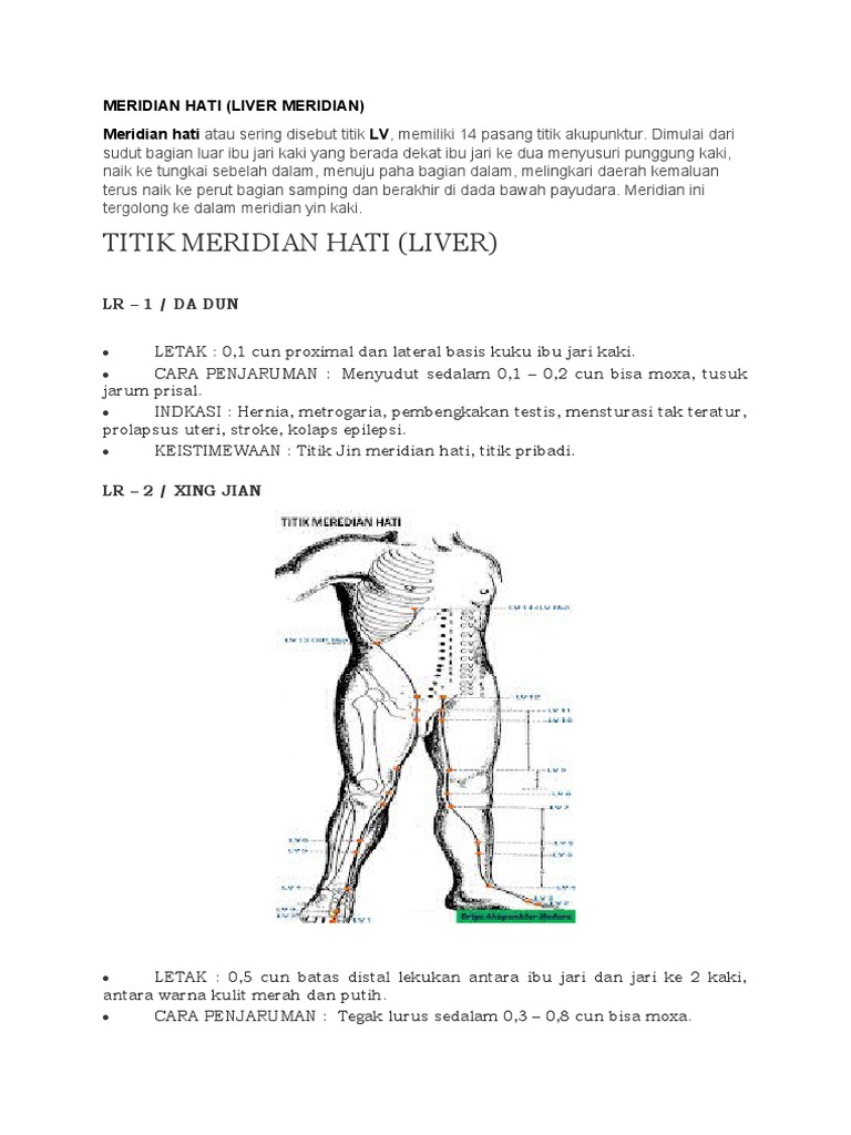 Titik Akupunktur Meridian Hati dan Limpa | PDF