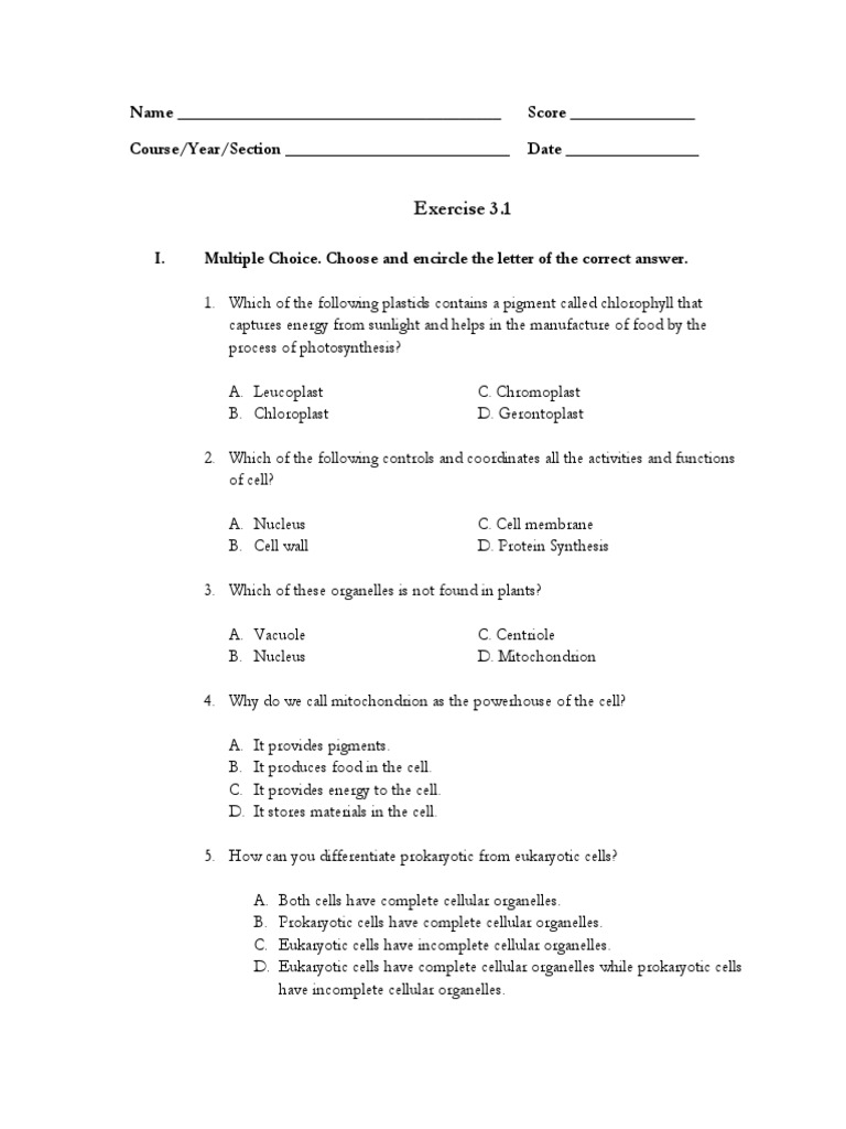 Exercise 3 | PDF | Cell (Biology) | Eukaryotes