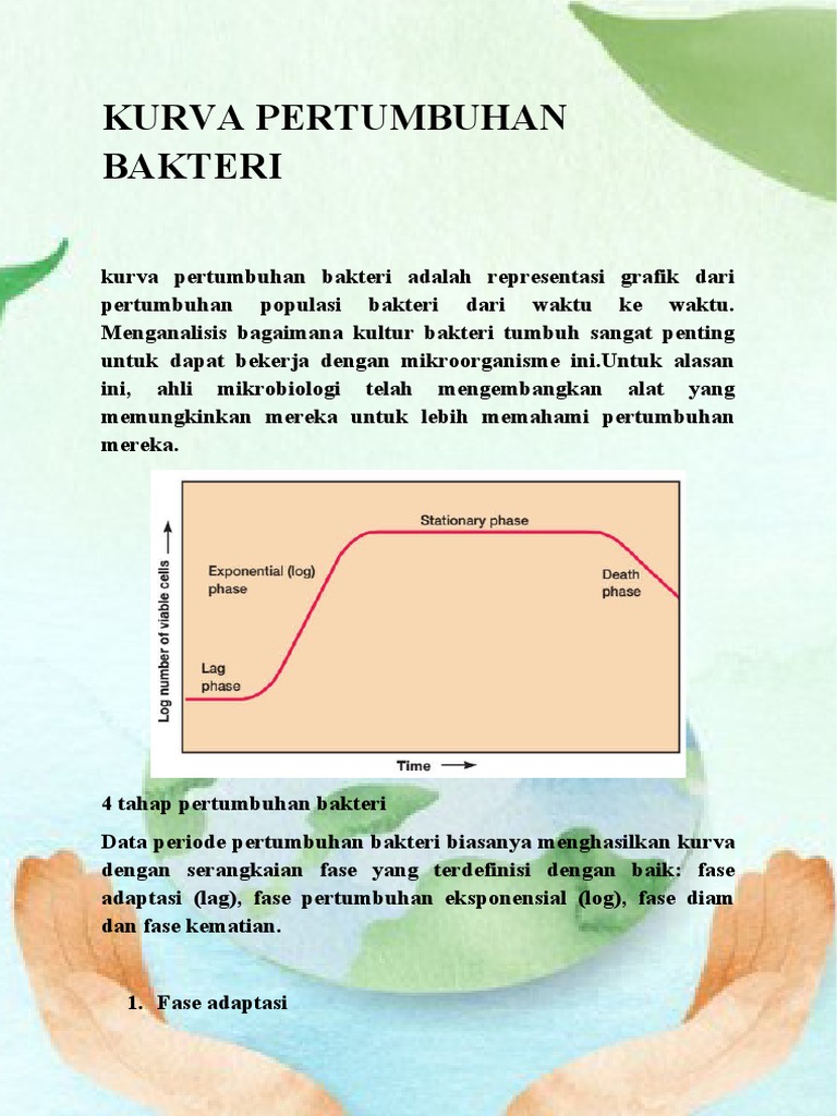 Kurva Pertumbuhan Bakteri | PDF