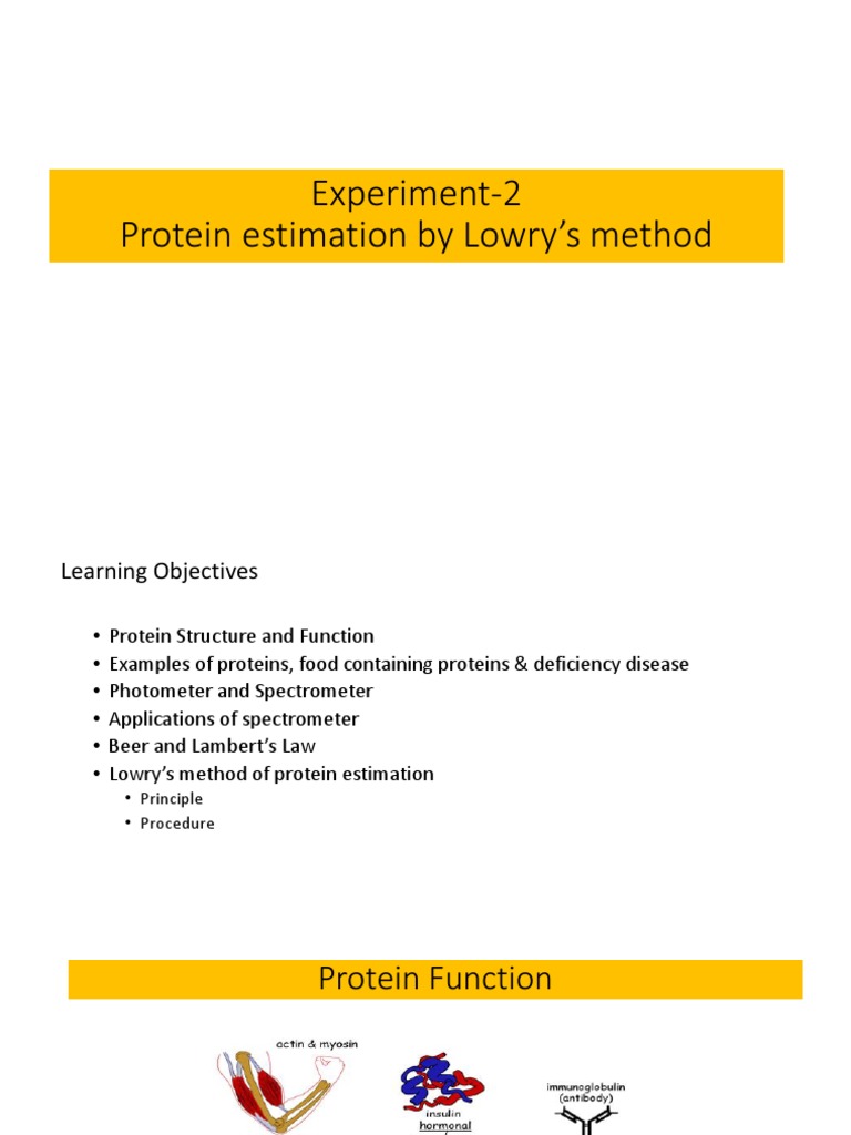 Estimating Protein Concentration Using Lowry's Method: A Guide to the ...