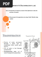 Kcse 2024 Bio Pp1 Ms - Code 01 | PDF | Cellular Respiration | Flowers