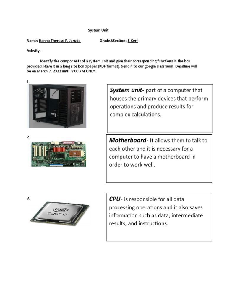 Actvity - System Unit | PDF