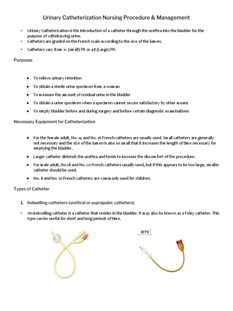 A Comprehensive Guide to Urinary Catheterization Nursing Procedures ...