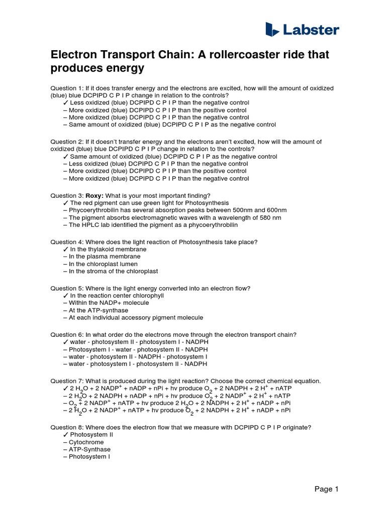 Questions Electron Transport Chain A Rollercoaster Ride That Produces ...