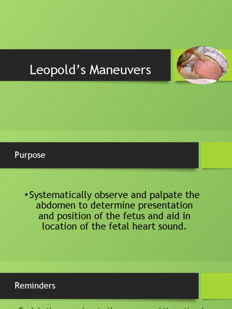 Leopold's Maneuvers - PPTM | PDF | Anatomy | Musculoskeletal System Leopold's Maneuvers - PPTM | PDF | Anatomy | Musculoskeletal System