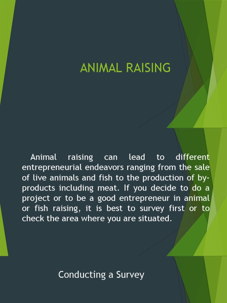 Animal Raising | PDF | Cattle | Goat