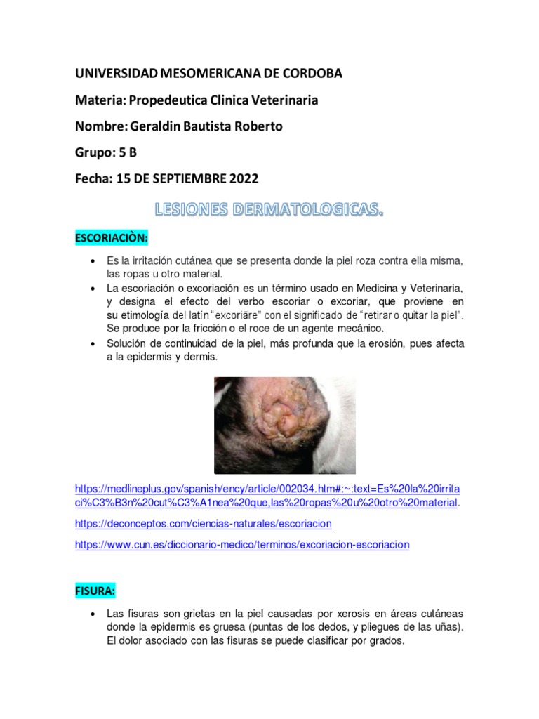 Lesiones Dermatologicas | PDF | Piel | Medicina