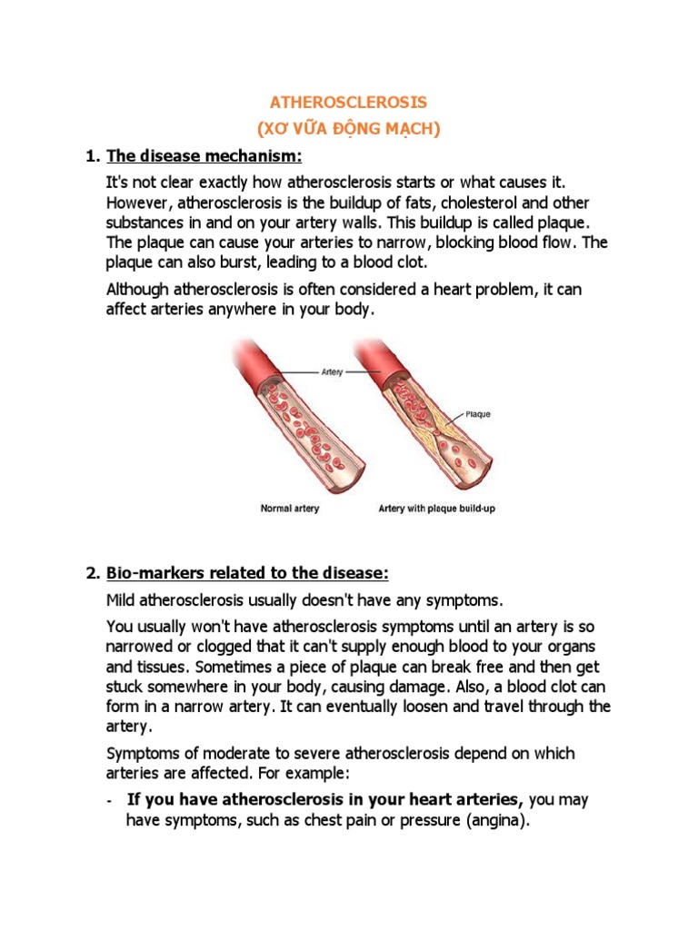 The Disease Mechanism:: Atherosclerosis (Xơ V A Đ NG M CH) | PDF