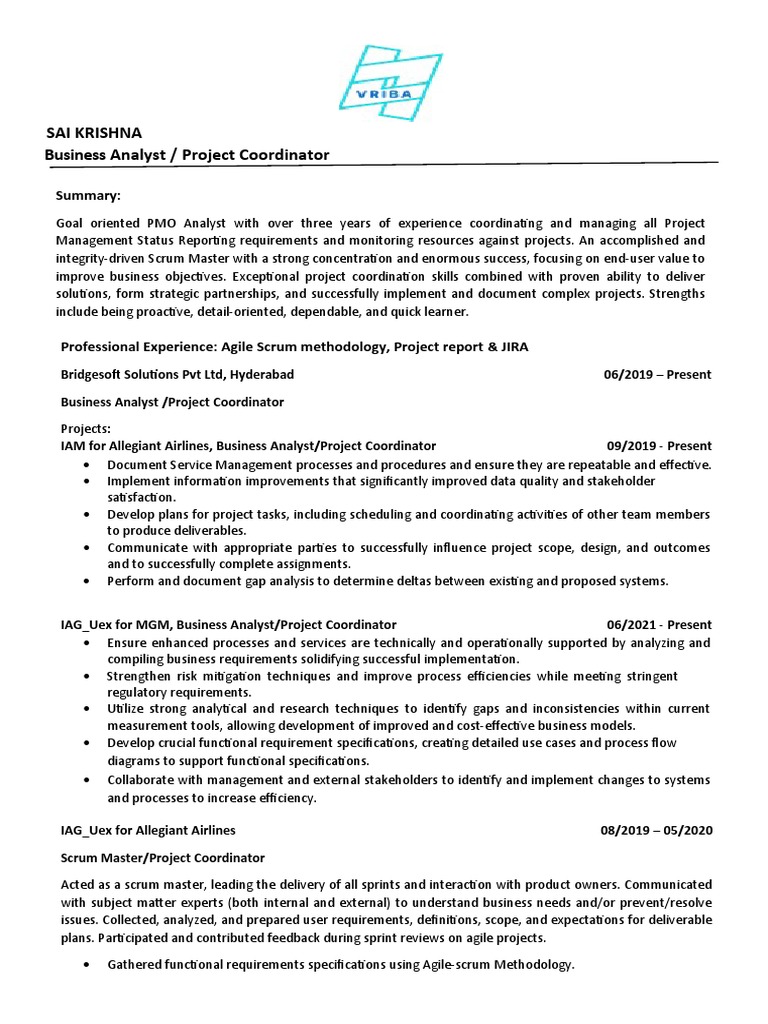Business Analyst & Scrum Master Profile | PDF | Scrum (Software Development) | Business