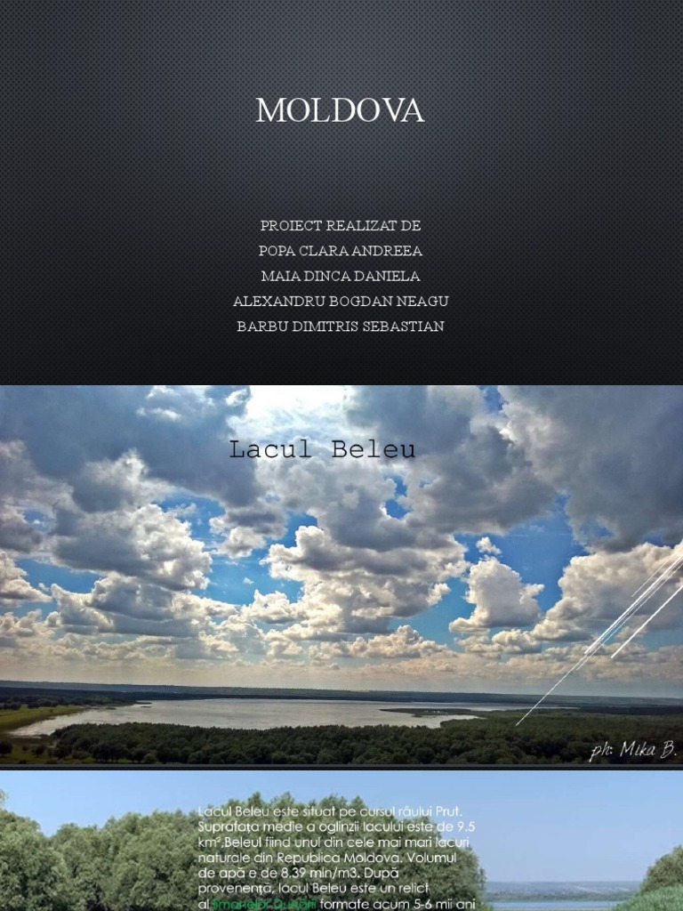 Proiect Romana | PDF