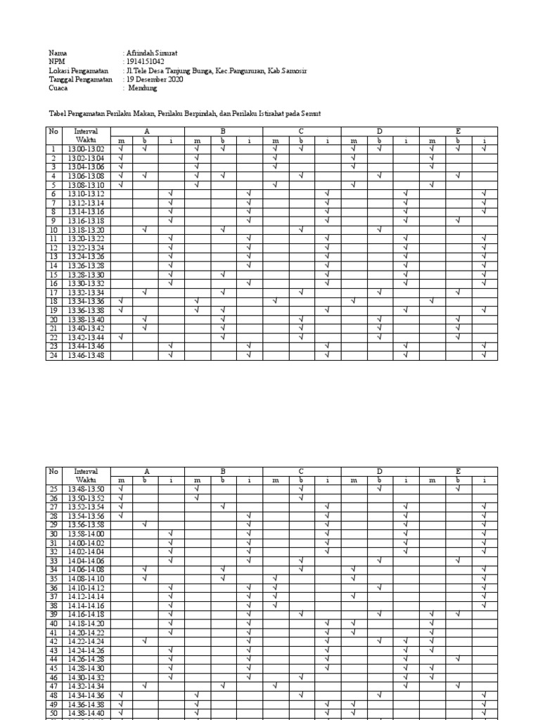 Tally Sheet Pengamatan Semut | PDF