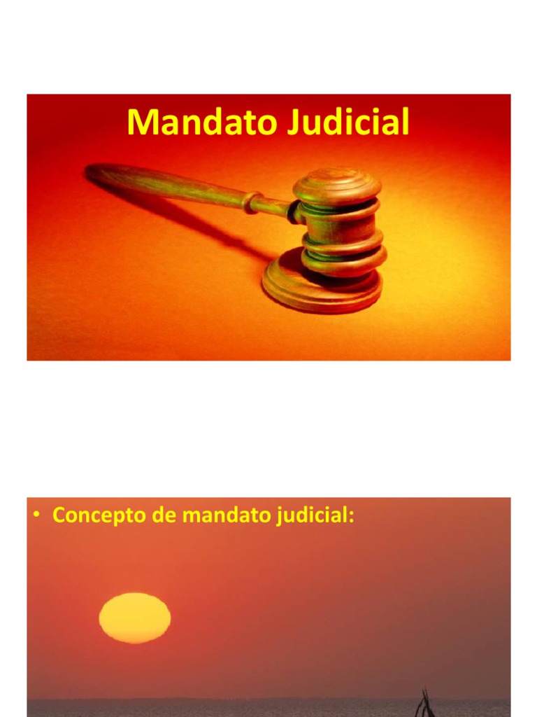 Mandato Judicial. DNII 2021 | PDF