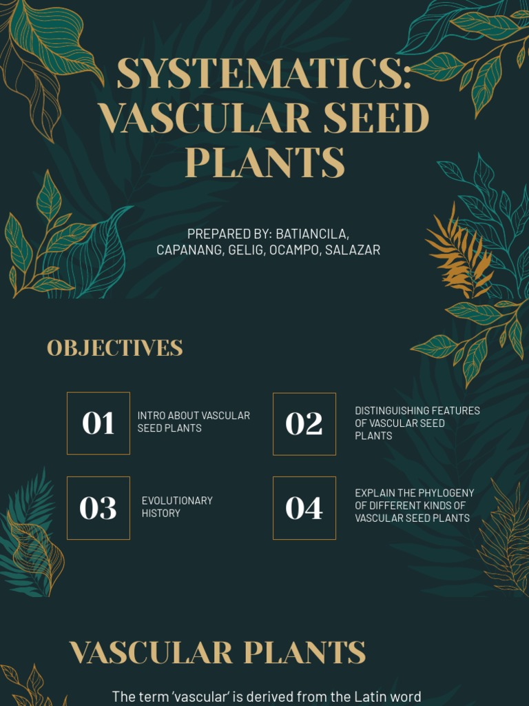 Group 3 - GYMNOSPERMS AND ANGIOSPERMS | PDF | Plants | Organisms