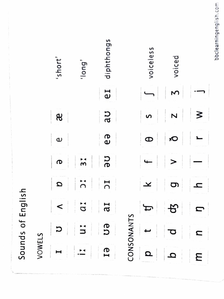 Phonetics 2 Bach B | PDF