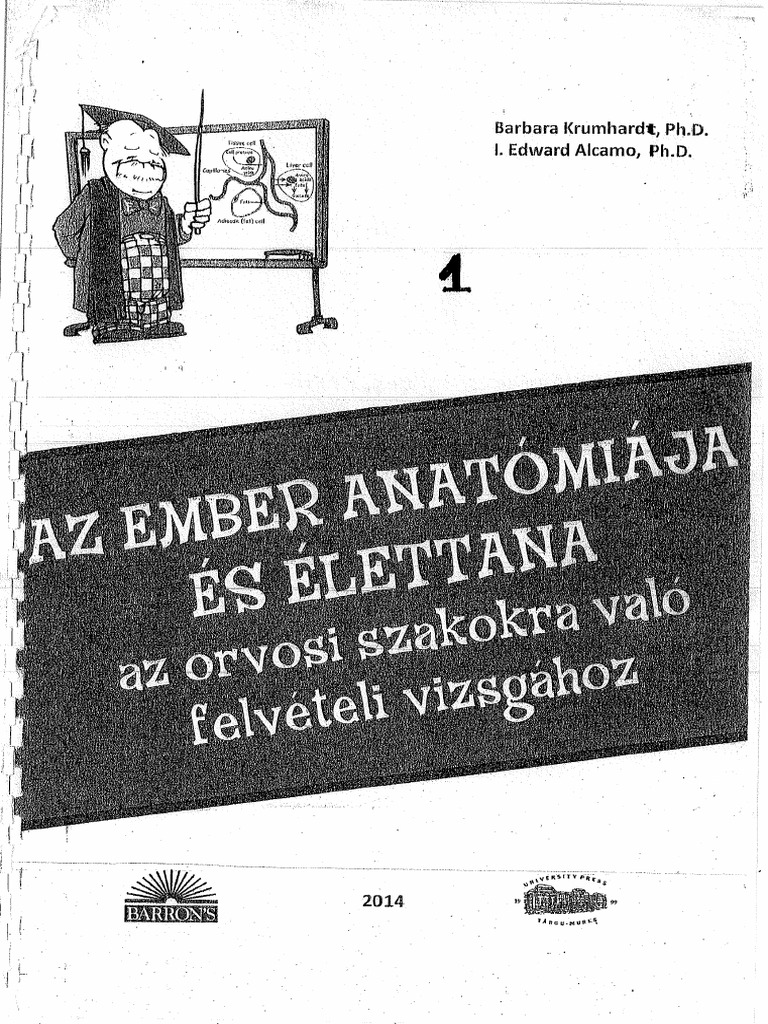 1 Az Ember Anatomiaja Es Elettana | PDF