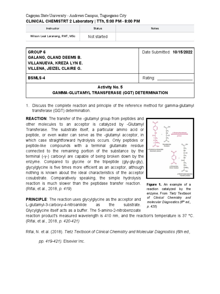5.6 Gamma-Glutamyl Transferase Determination | PDF | Cirrhosis ...