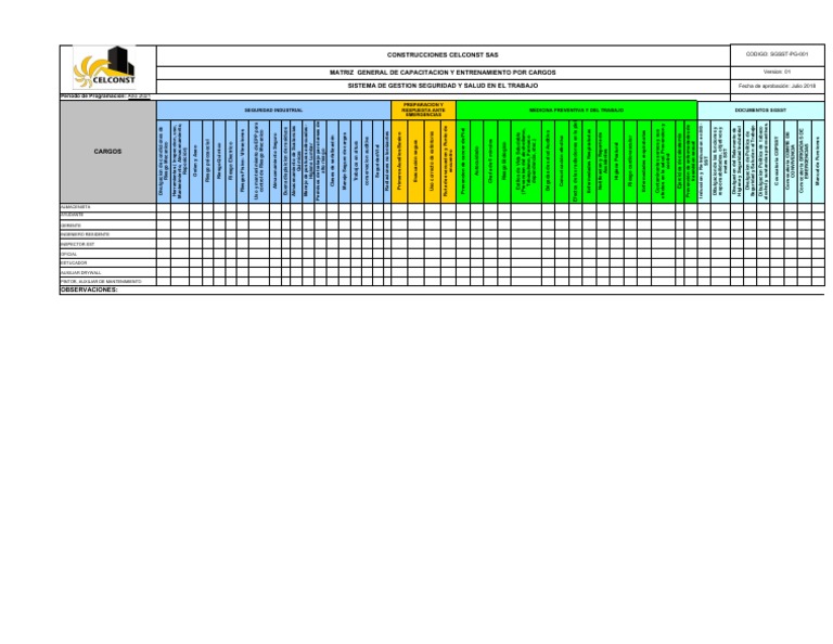 SGSST-PG-001 Matriz de Capacitación y Entrenamiento Por Cargo | PDF | Especialidades Medicas ...
