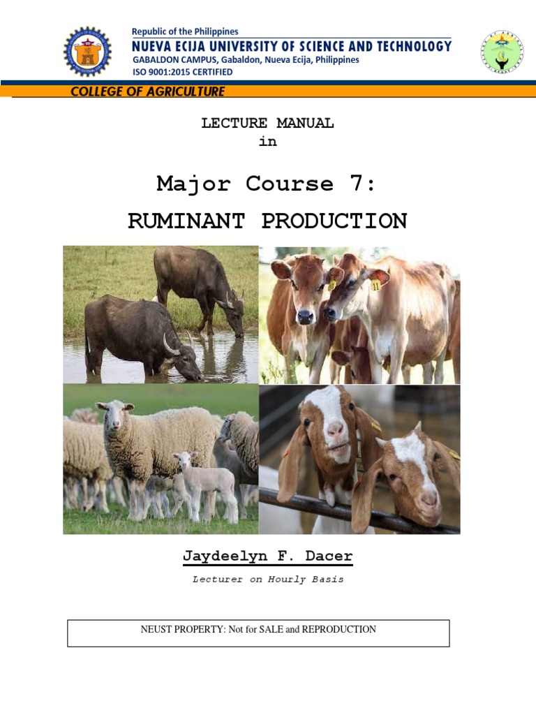 Ruminant Production | Download Free PDF | Cattle | Dairy Cattle