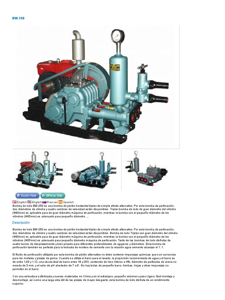 BW-250 Bomba de LODOS | PDF | Perforación | Bomba