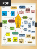 Semana1 - Tema1 - Tarea - Mapa Mental | PDF | Constitución | Economias