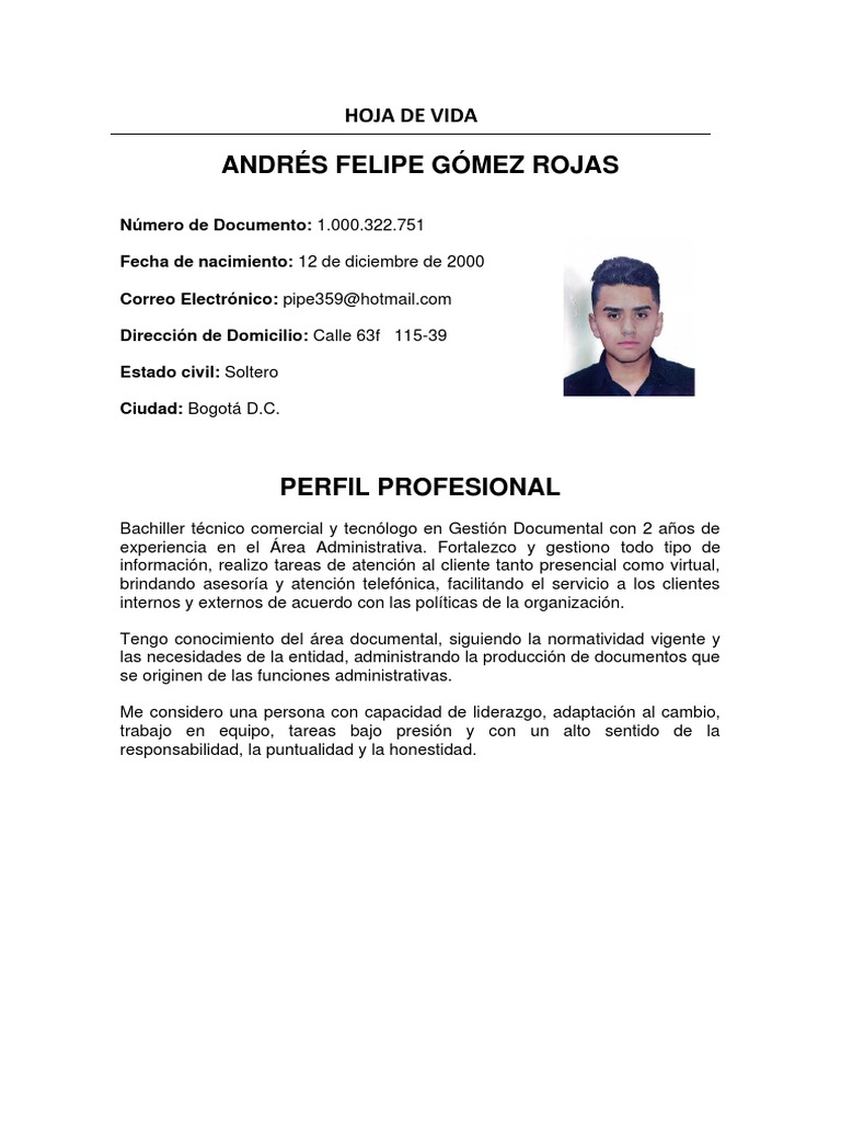 Hoja de Vida - Andrés Felipe | Descargar gratis PDF | Internet | Business