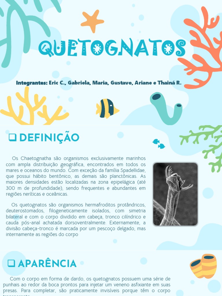 Quetognatos - Biologia | PDF | Zoologia | Organismos