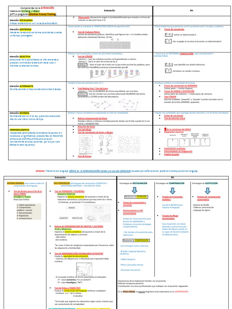 Esquema Evaluación y Rehabilitación Neuropsicologica | Descargar gratis PDF | Afasia | Aprendizaje