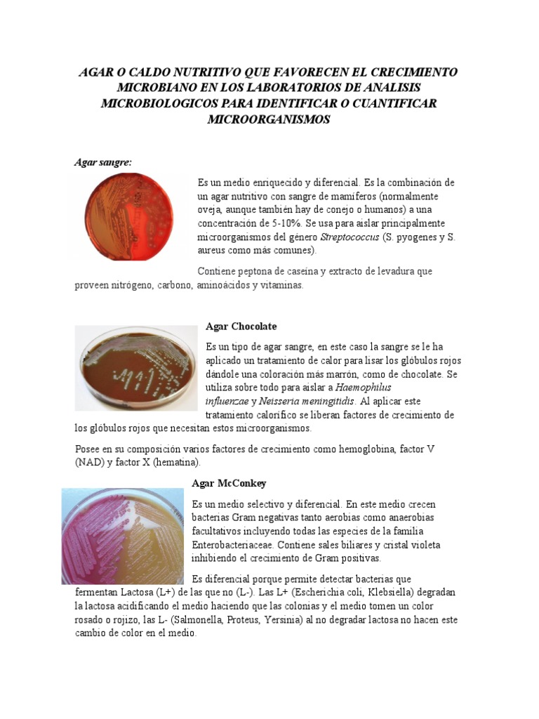 Agar o Caldo Nutritivo Que Favorecen El Crecimiento Microbiano en Los Laboratorios de Analisis ...