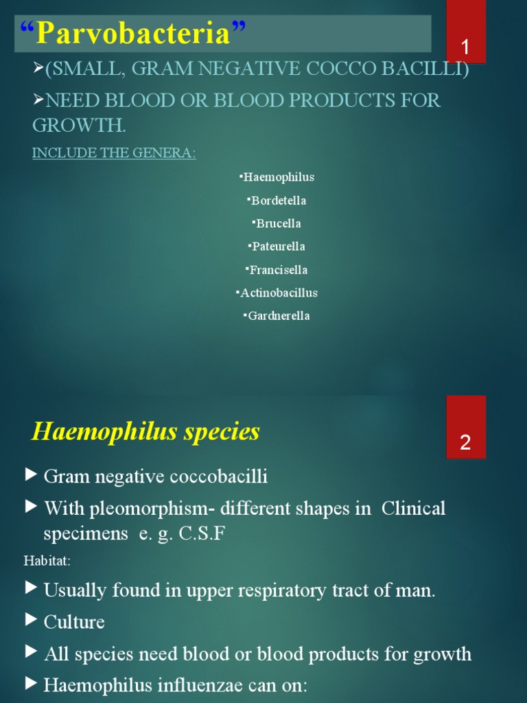 Haemophilus, Bordetella | PDF | Public Health | Microbiology