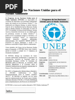 PNUMA: Objetivos y Funciones 2024 | PDF | Programa del Medio Ambiente ...