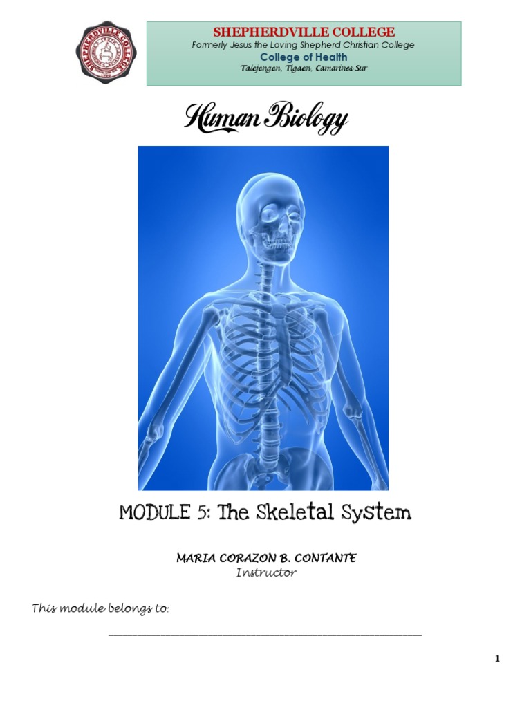 Skeletal System Module Guide | PDF | Bone | Osteoblast
