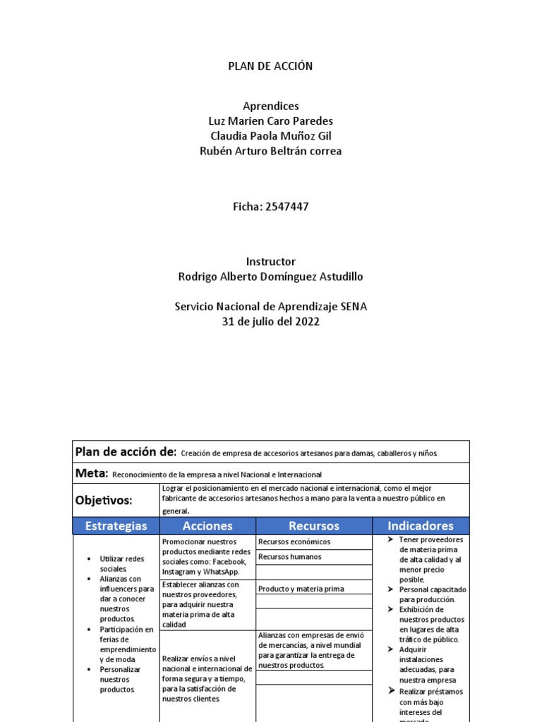 Anexo Plan de Accion | PDF | Business | Economias