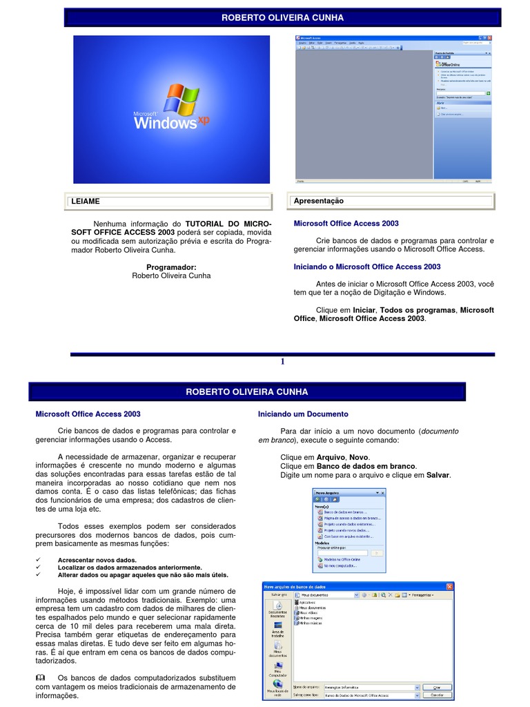 Apostila de Access 2003 | PDF