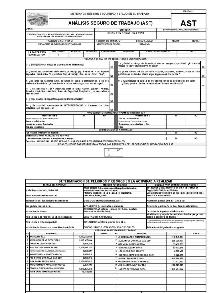 Anexo Formato Ats | PDF | Relámpago | Factores humanos y ergonomía