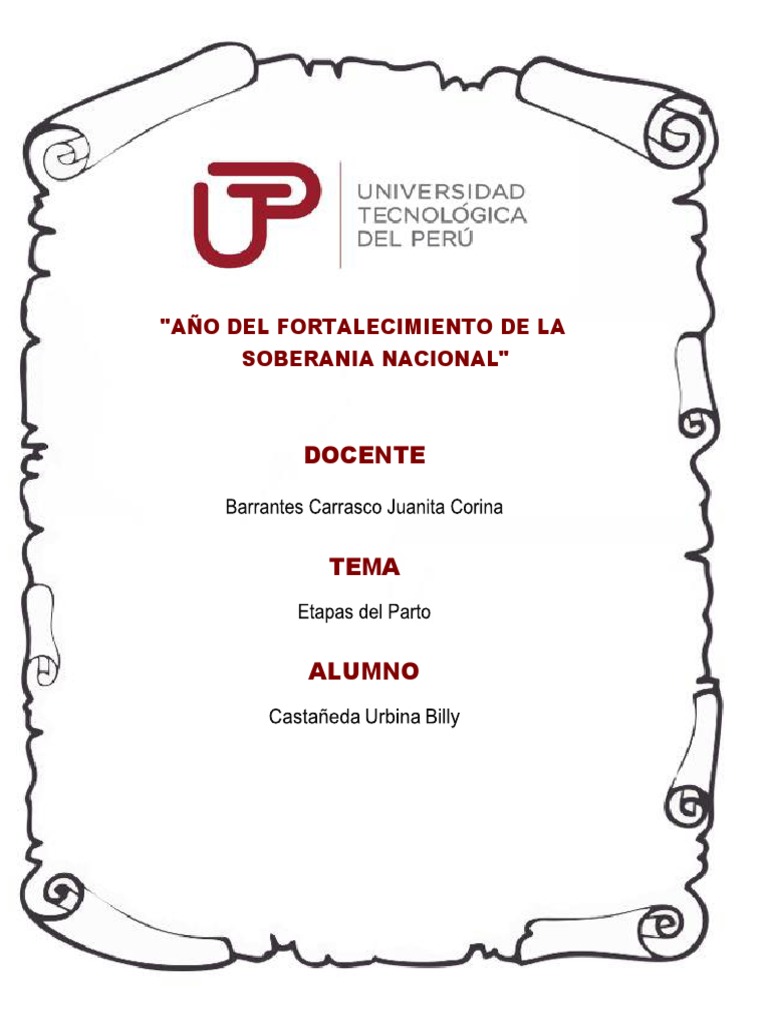 Mapa Mental | PDF | Parto | Salud maternal