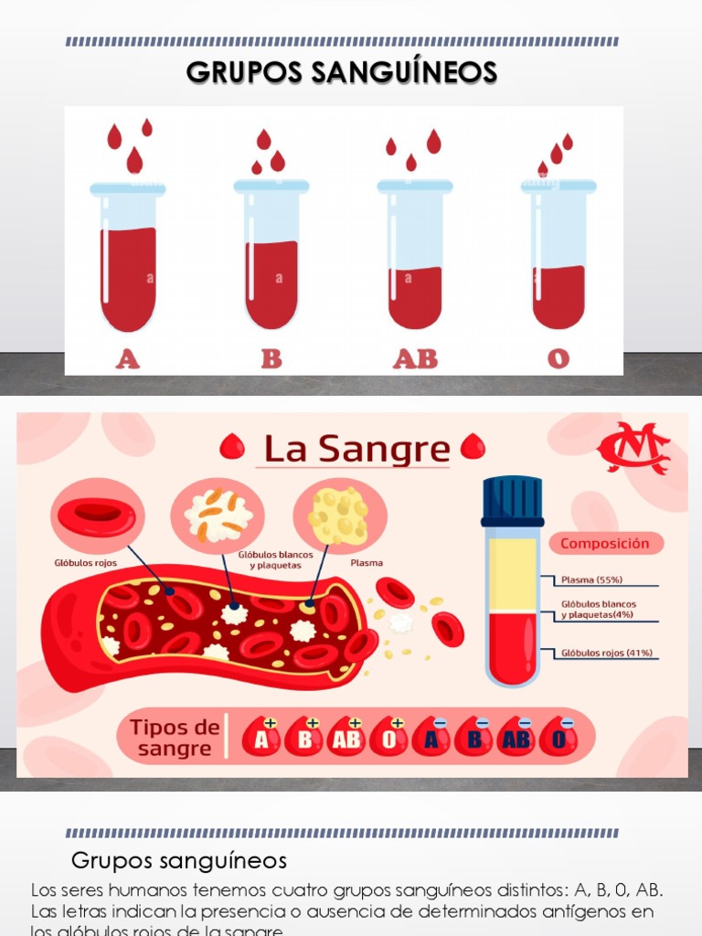 Tipos y determinación de grupos sanguíneos | PDF | Tipo de sangre ...