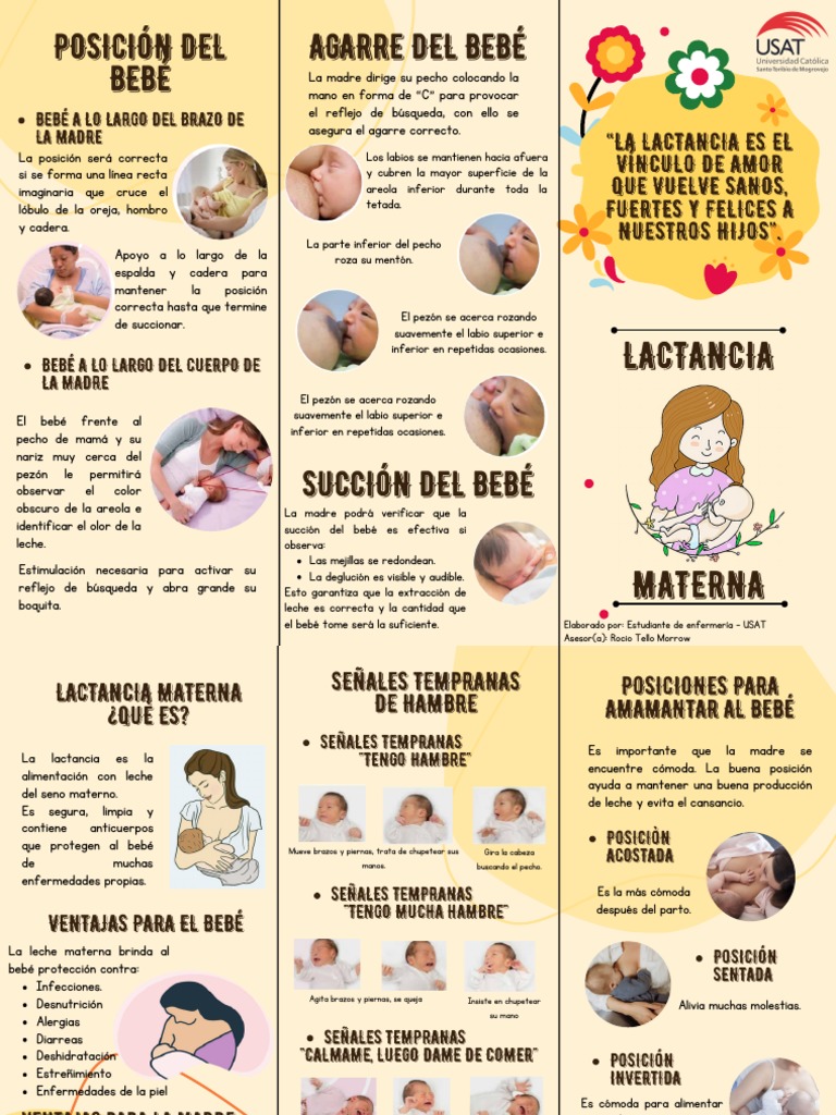 Triptico Lactancia Materna | PDF | Pecho | Amamantamiento