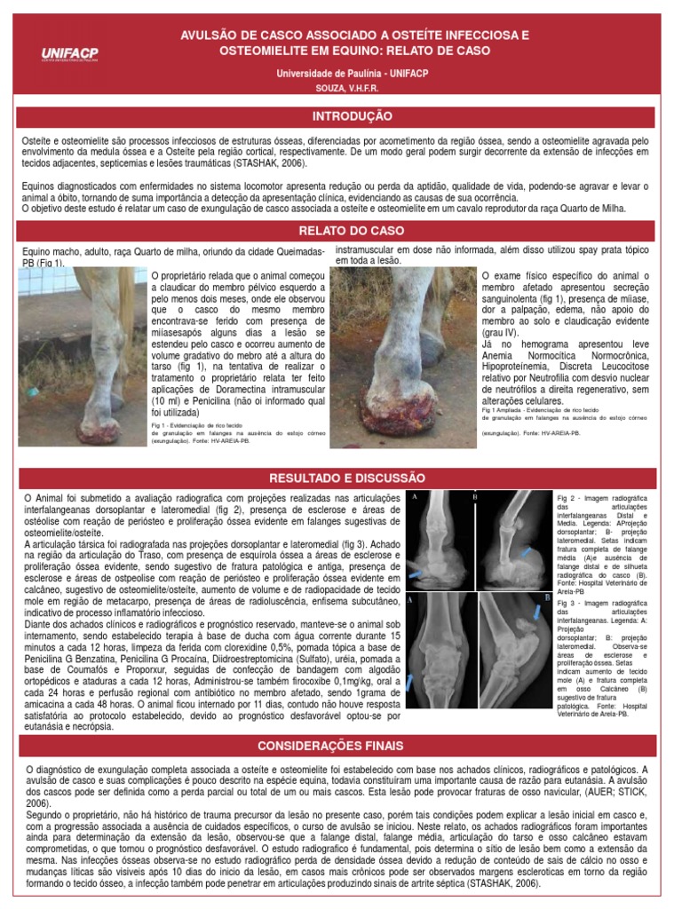 Poster Academico - Victoria Hannah | PDF | Cavalos | Medicina Clínica