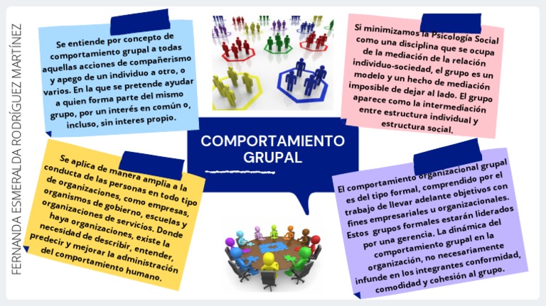 Comportamiento Grupal | PDF