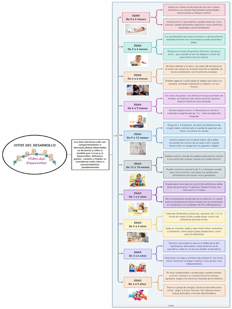 Hitos Del Desarrollo | PDF