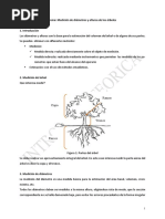 Instrumentos para Medición Forestal | PDF | Medición | Naturaleza