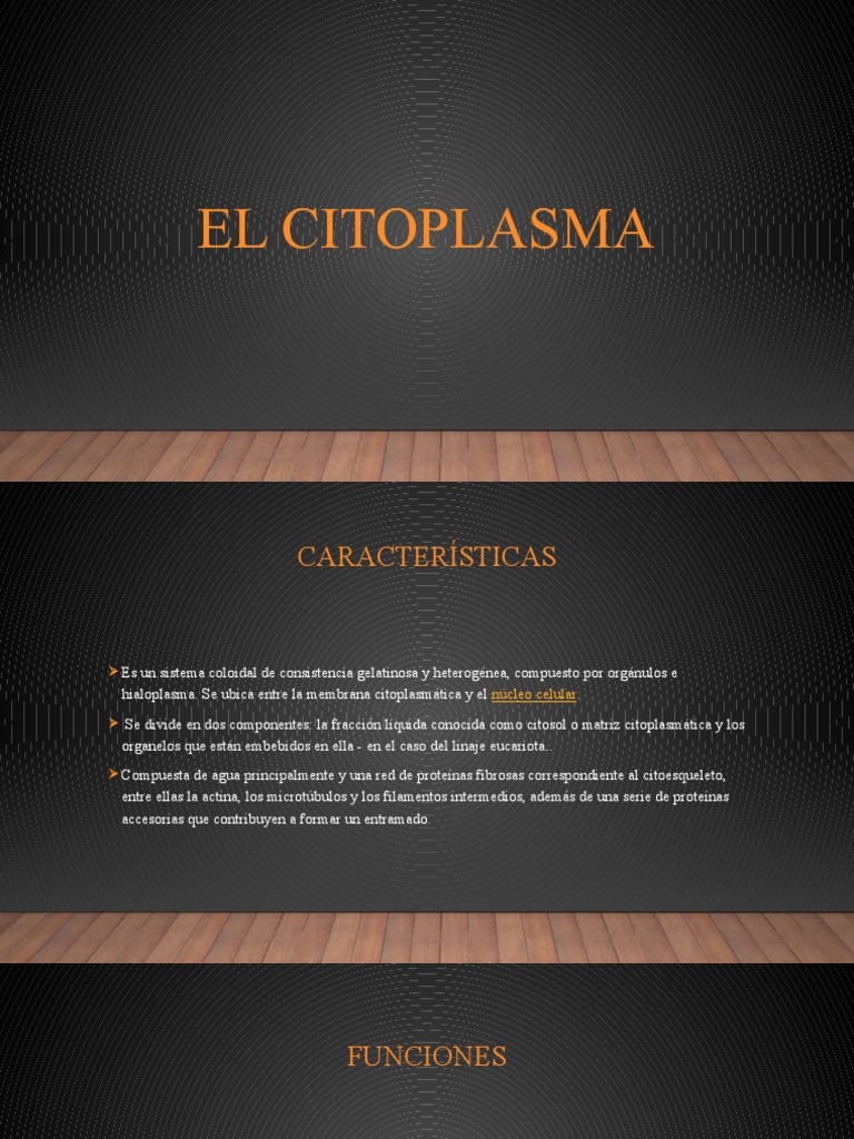 Características y funciones del citoplasma | PDF