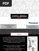 Bupirop 0 5 Pesado X 24 4 ML Ampoulepack | PDF | Terapia intravenosa ...