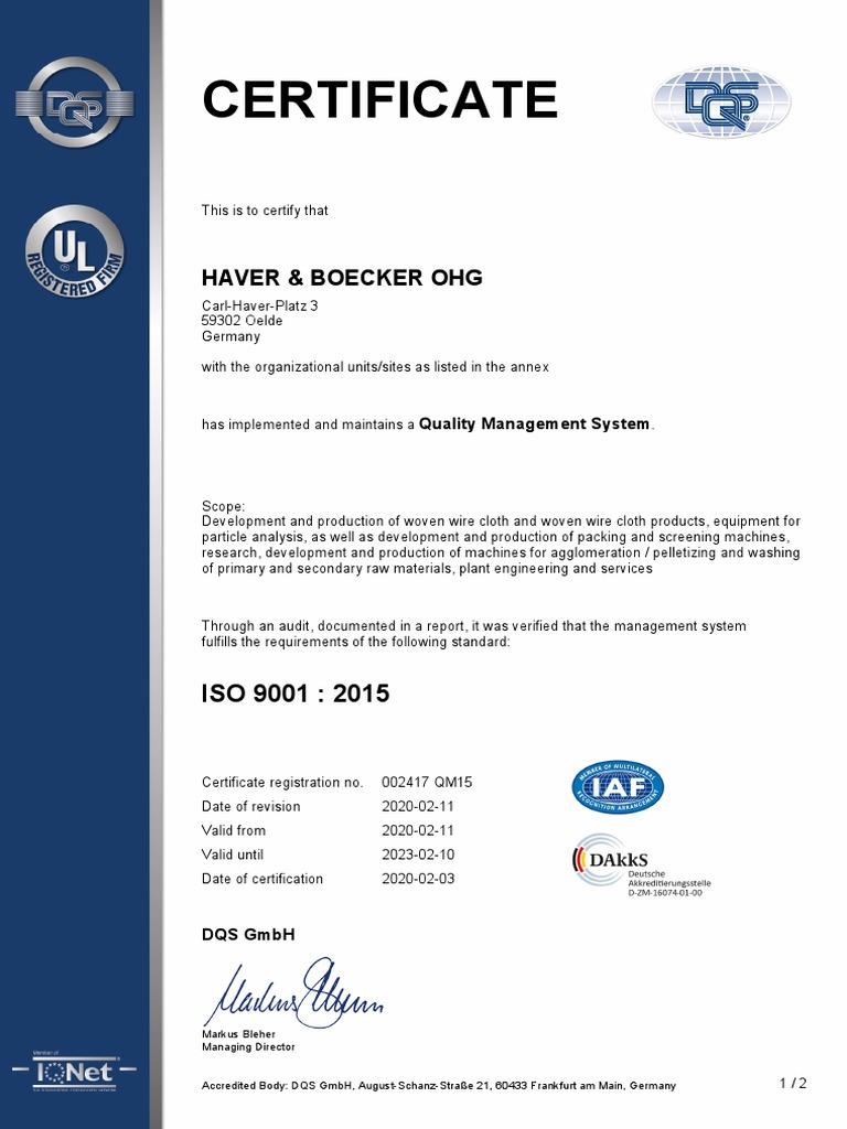 DQS-ISO-9001_en (4) | PDF