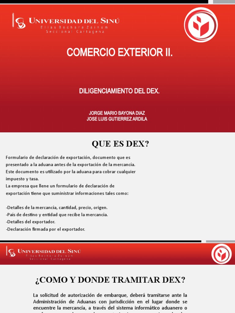 Diligenciamiento Del Dex | PDF | aduana | Business
