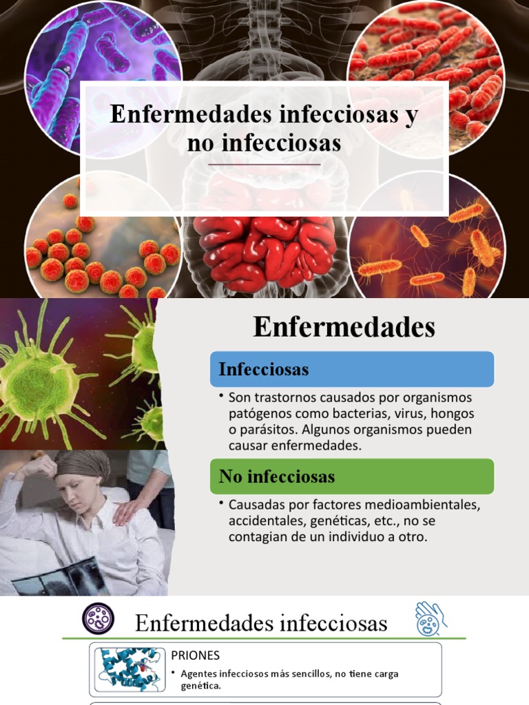 Clasificación de Enfermedades Infecciosas y No Infecciosas | PDF ... Clasificación de Enfermedades Infecciosas y No Infecciosas | PDF ...